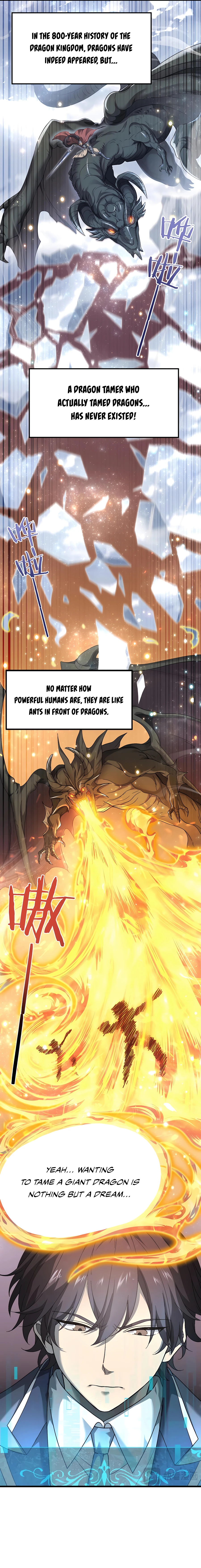 Worthless Profession: Dragon Tamer - Chapter 2 - Toonclash